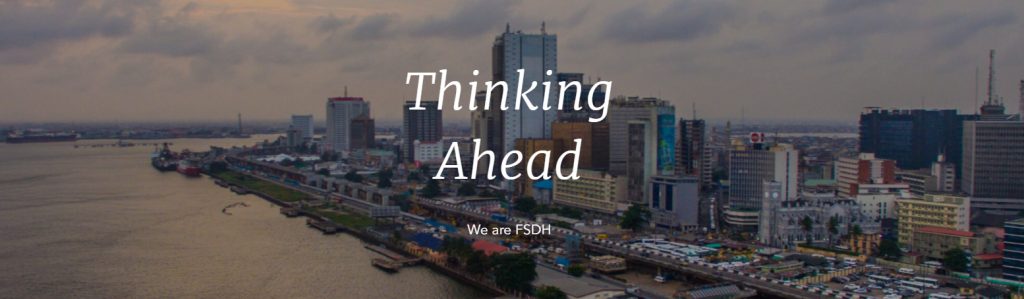 FSDH Holding Company - AFIG Funds
