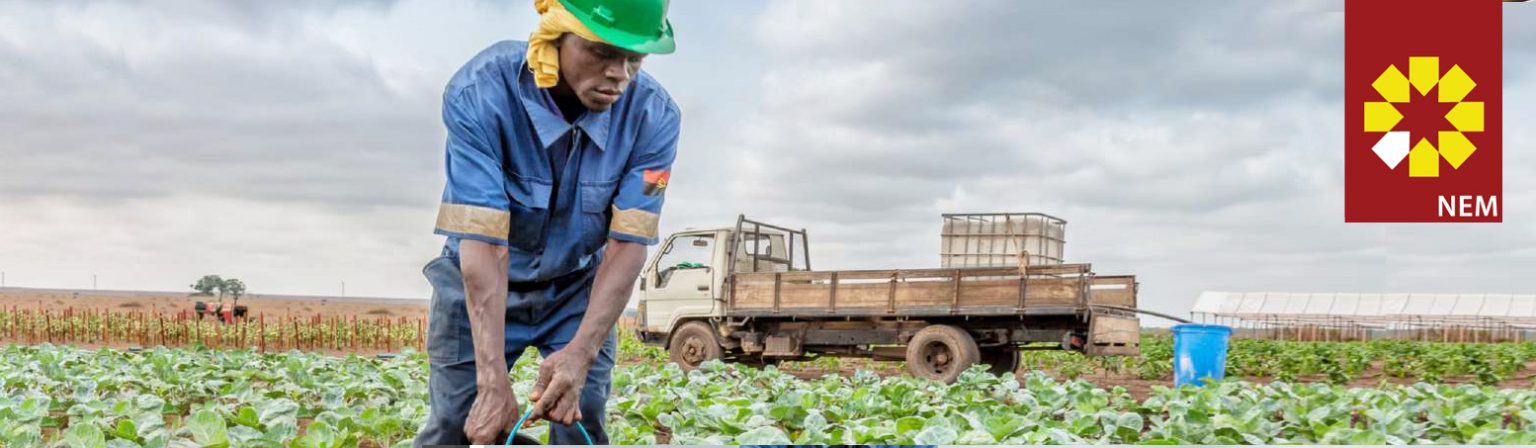 NEM Insurance - AFIG Funds